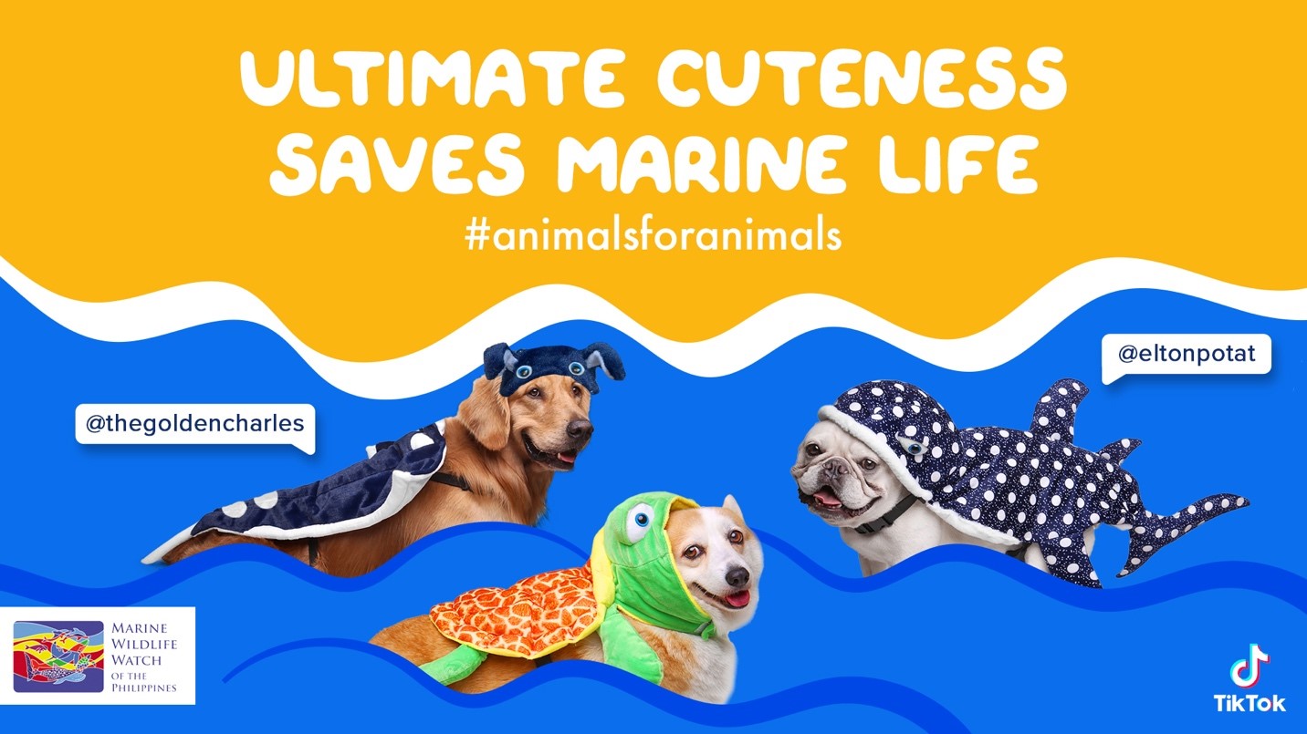 Pet-influencers to the rescue: Cuteness for a cause!