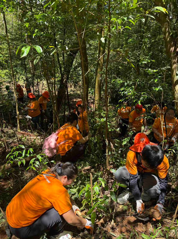 Planting 1,200 Native Trees to Strengthen Sierra Madre Ecosystem